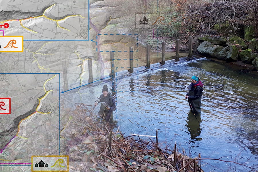 Portrait geo7 - geo7